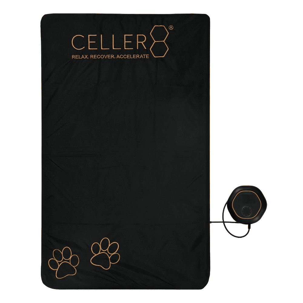 Shop PEMF Device For Pets & Animals - NewMed Ltd